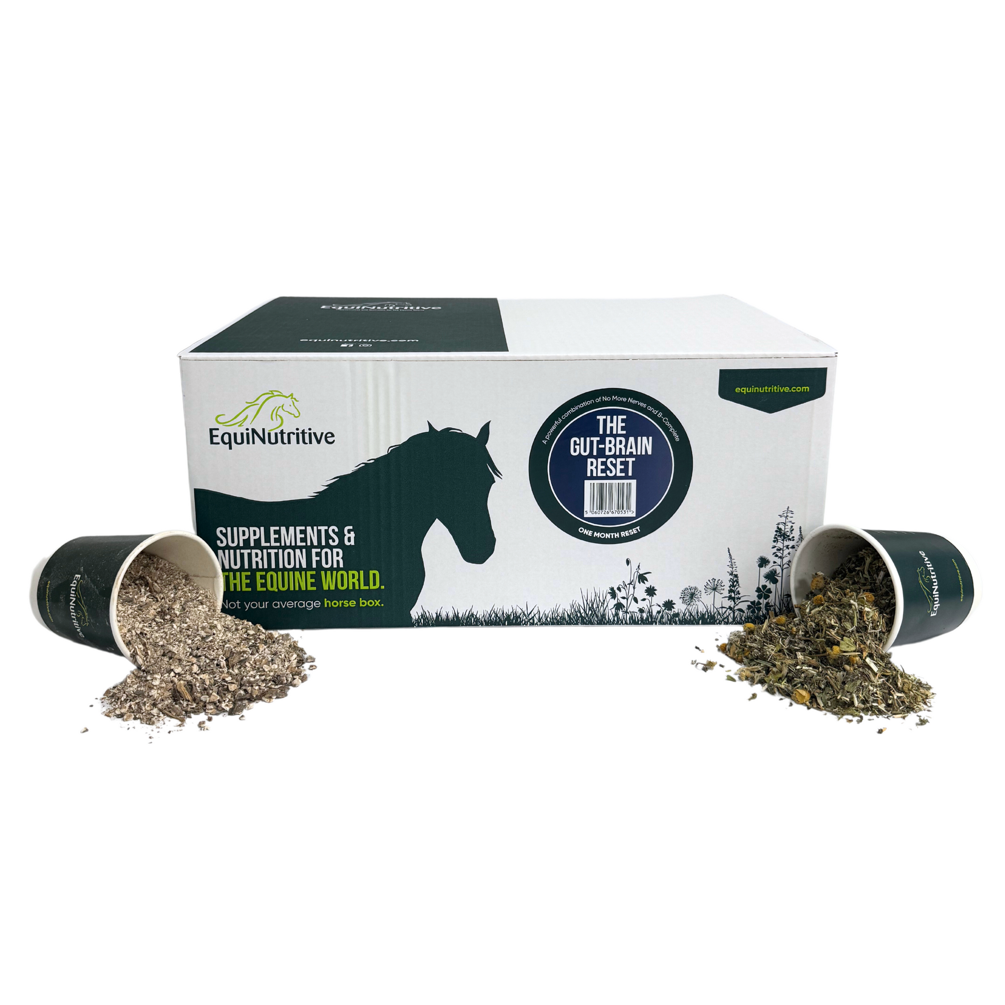 The Gut-Brain Reset – Equinutritive