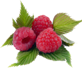 Calming Supplement for Horses, Best Calmer for Nervous Horses ...